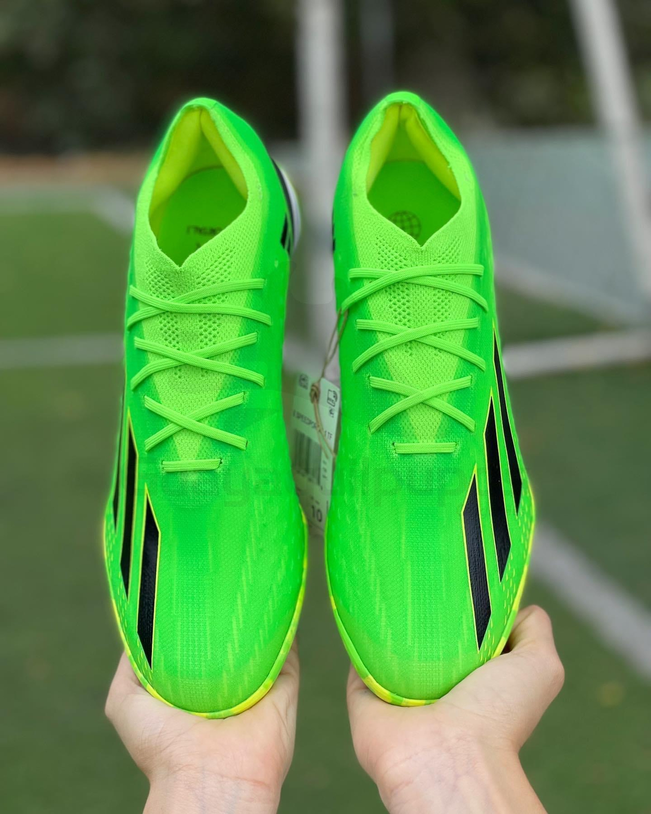 Pupillos archivos - Guayaquil Pupos