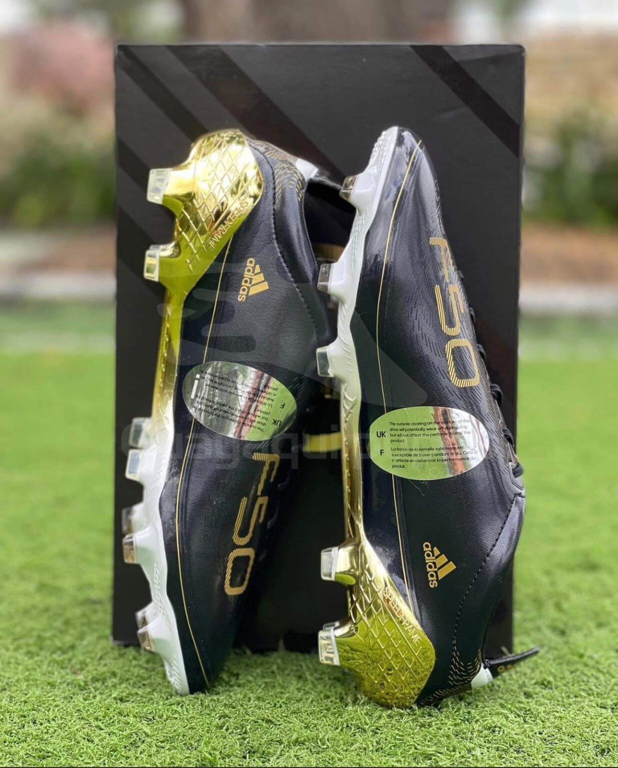 Tienda - Guayaquil Pupos