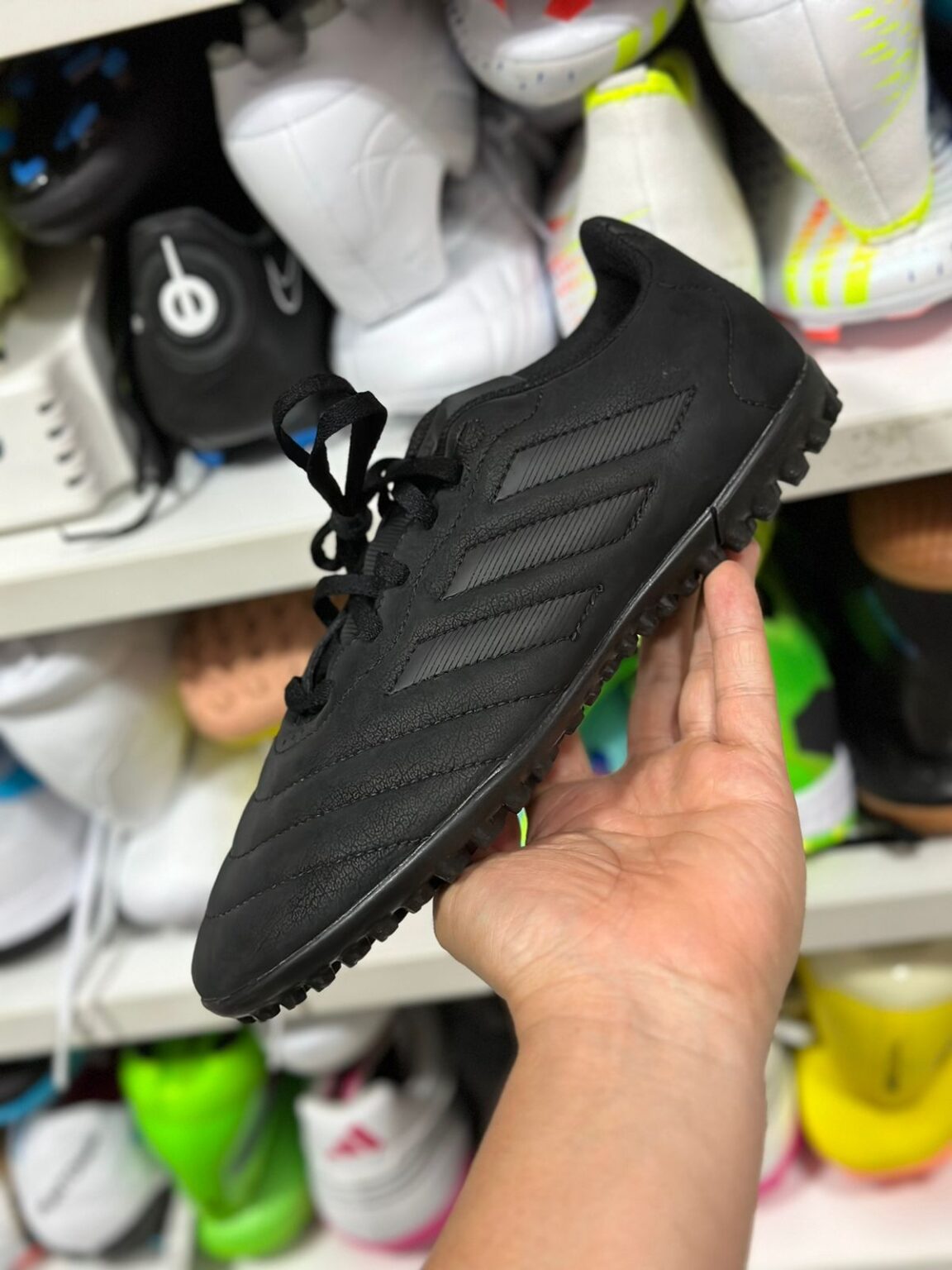 Pupillos archivos - Guayaquil Pupos