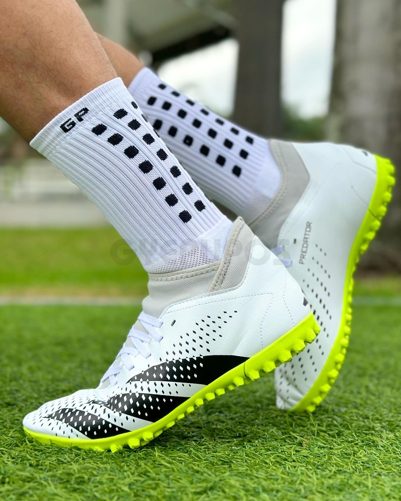 Pupillos archivos - Guayaquil Pupos